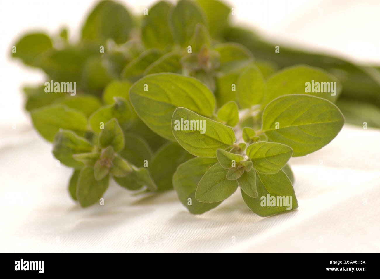 Food fighter hi-res stock photography and images - Alamy