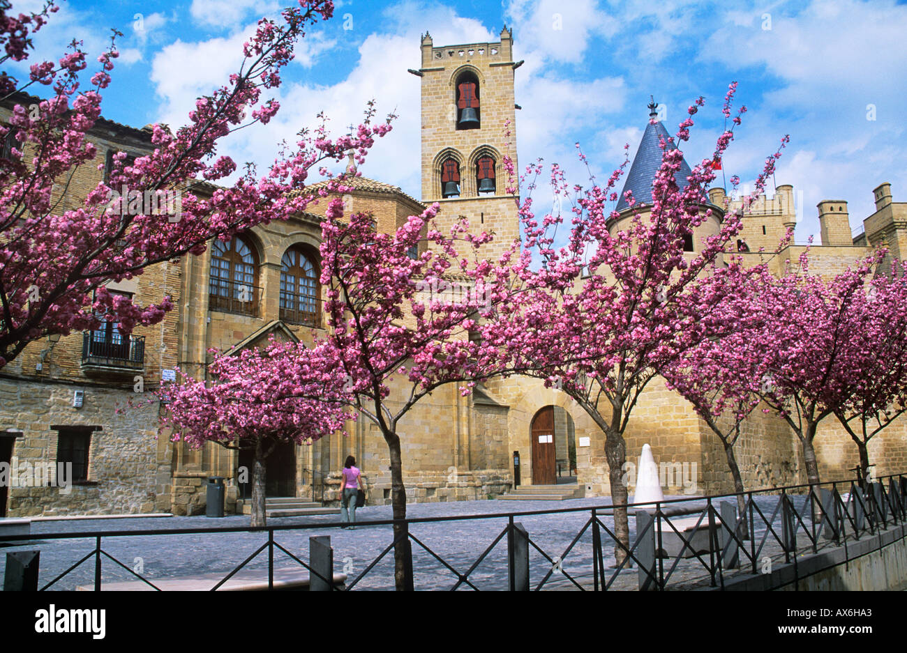Olite Castle, Navarra, Northern Spain Stock Photo - Alamy