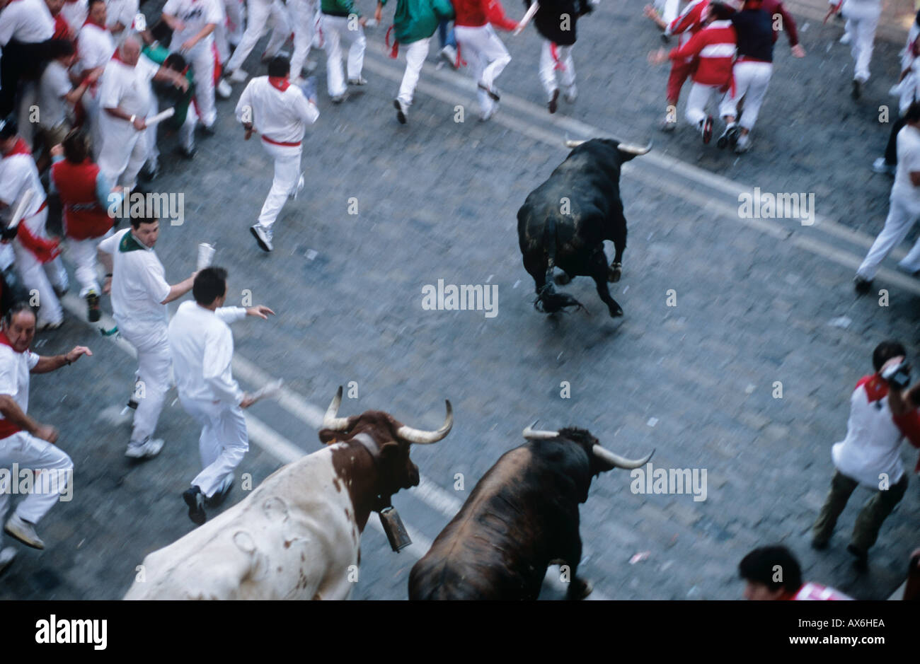 Old bull run hi-res stock photography and images - Alamy