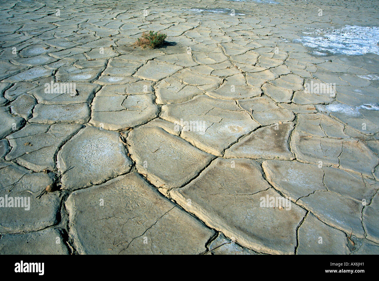 Mudflat dry hi-res stock photography and images - Alamy