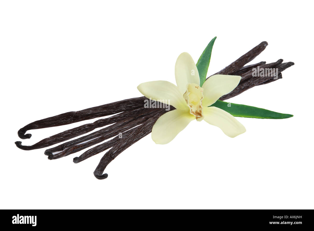 Vanilla pod flower hi-res stock photography and images - Alamy