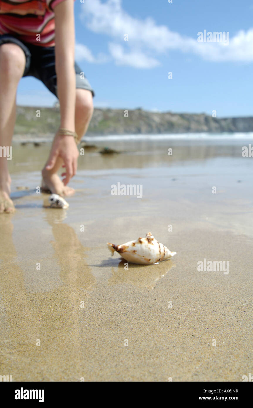 Low section view of girl picking shell on beach Stock Photo - Alamy