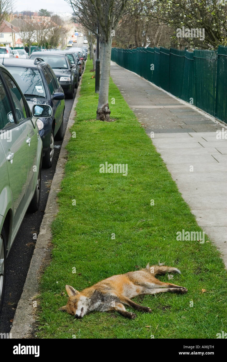 Lying at roadside hi-res stock photography and images - Alamy