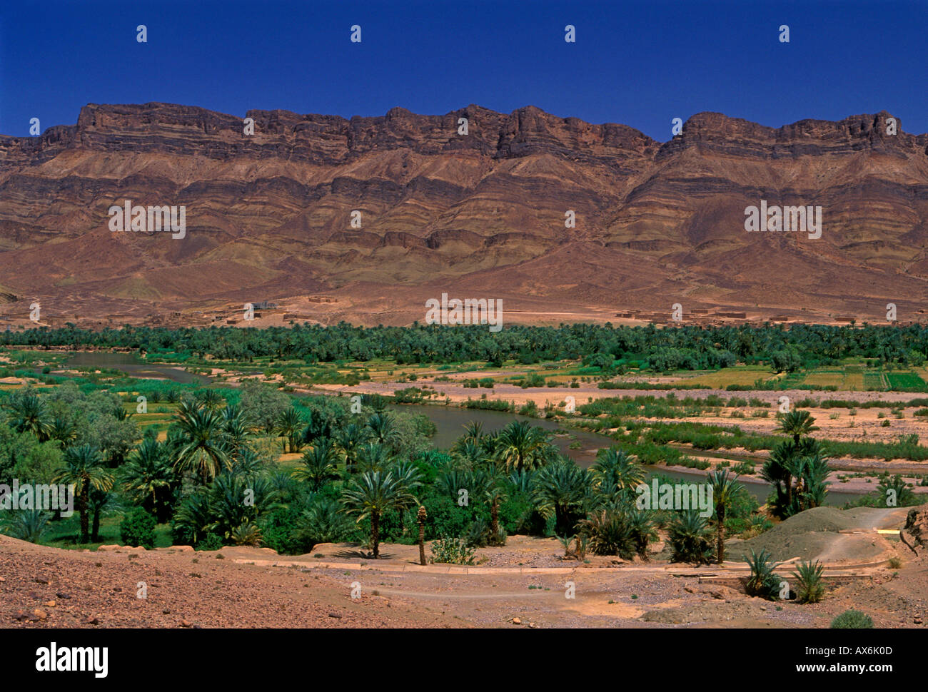 oasis, resource, between Agdz and Zagora, Draa River, Draa Valley, Draa ...