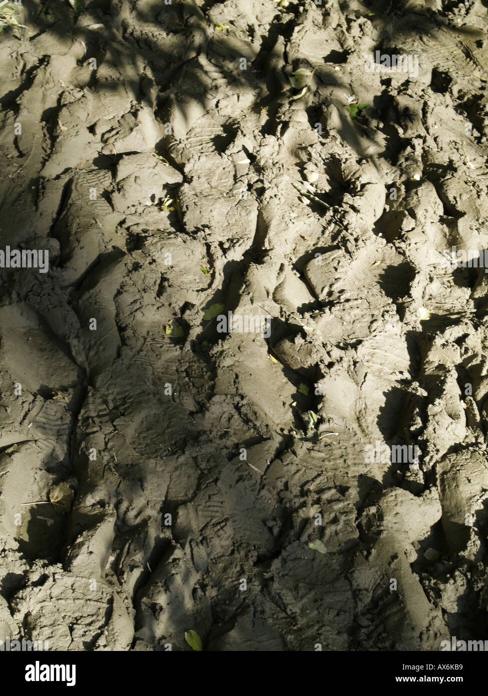 Dirt grey ground mud hi-res stock photography and images - Alamy