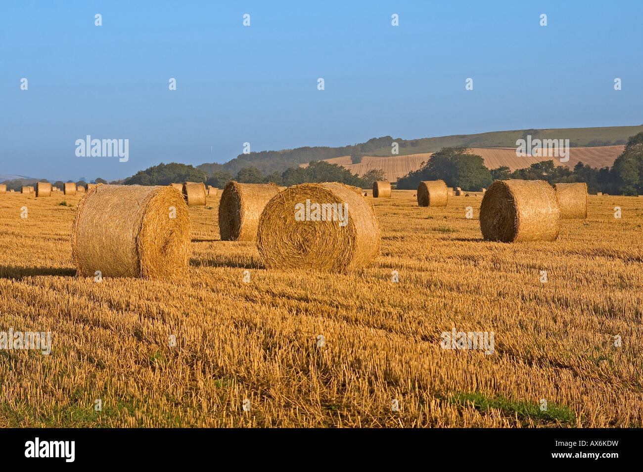 Straw bales round big harvest hi-res stock photography and images - Alamy