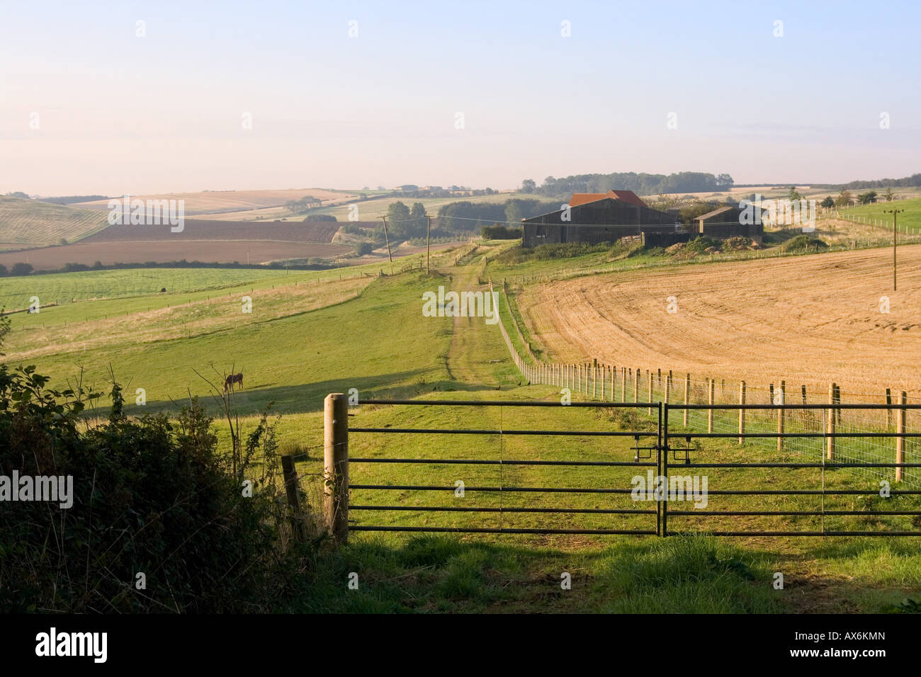 Field farm lincolnshire wolds hi-res stock photography and images - Alamy