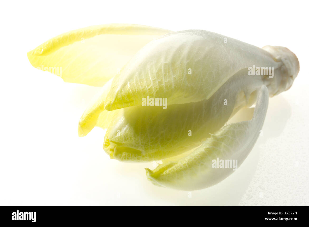 Slanting leaves hi-res stock photography and images - Alamy
