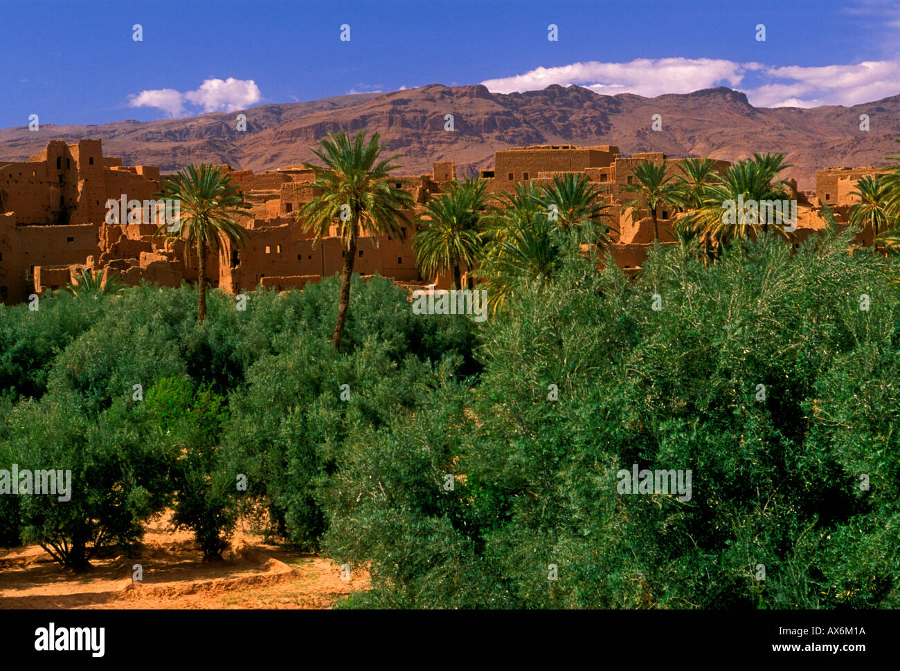 Maroc tinerhir hi-res stock photography and images - Alamy