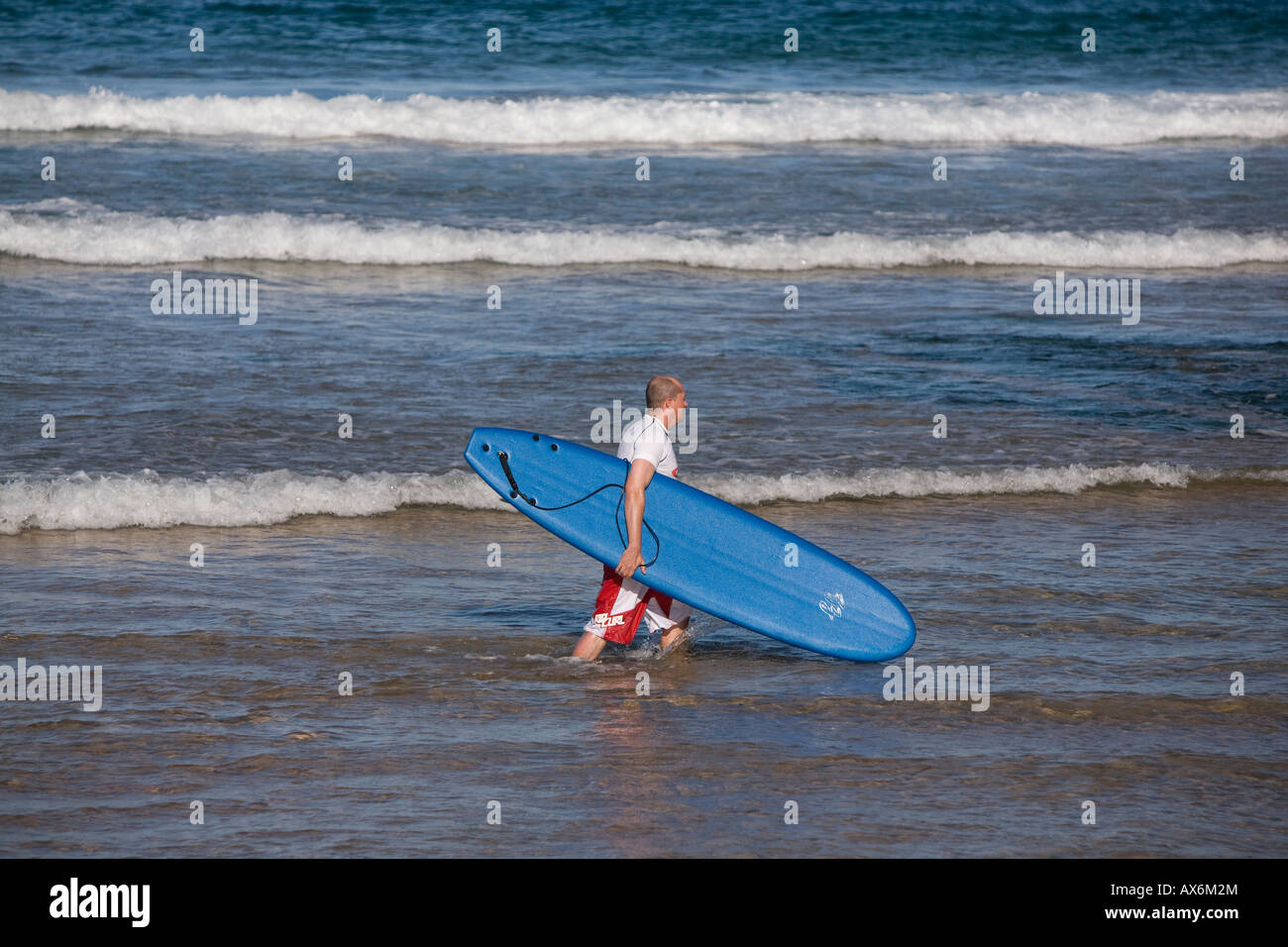 Male surfer carrying his surfboard, Whale Beach,Sydney,Australia Stock ...