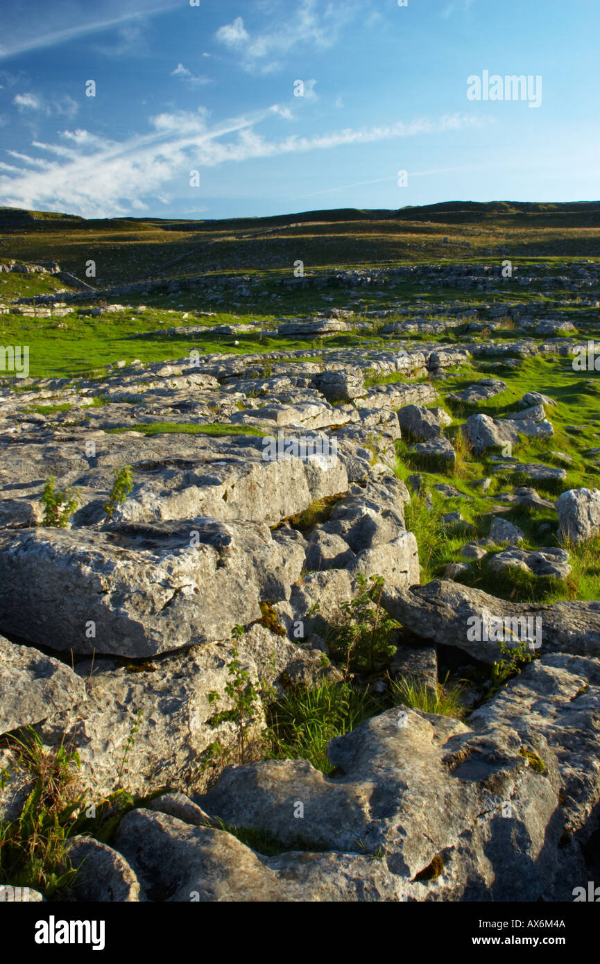 England, Yorkshire, Yorkshire Dales National Park. Limestone pavement ...