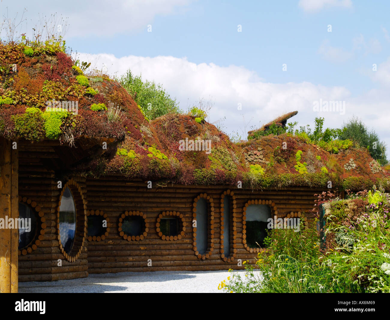 green roof with sedum species Stock Photo - Alamy