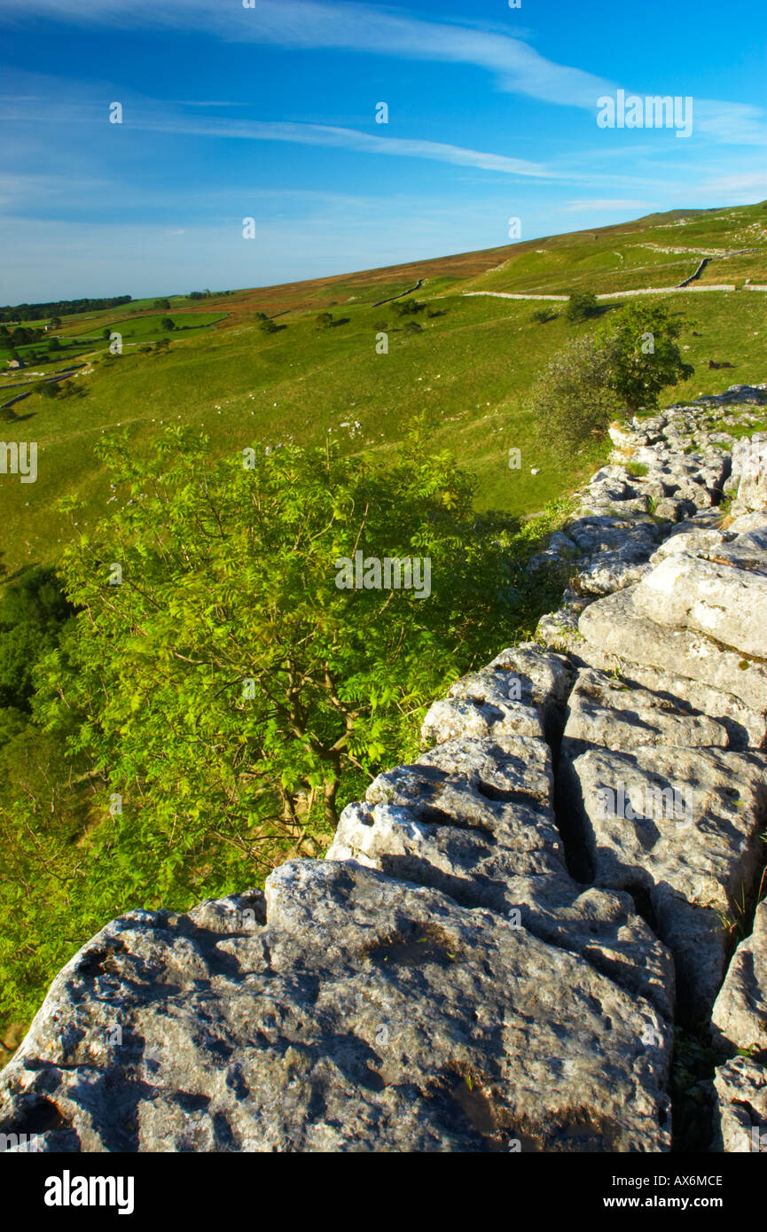 England, Yorkshire, Yorkshire Dales National Park. Limestone pavement ...