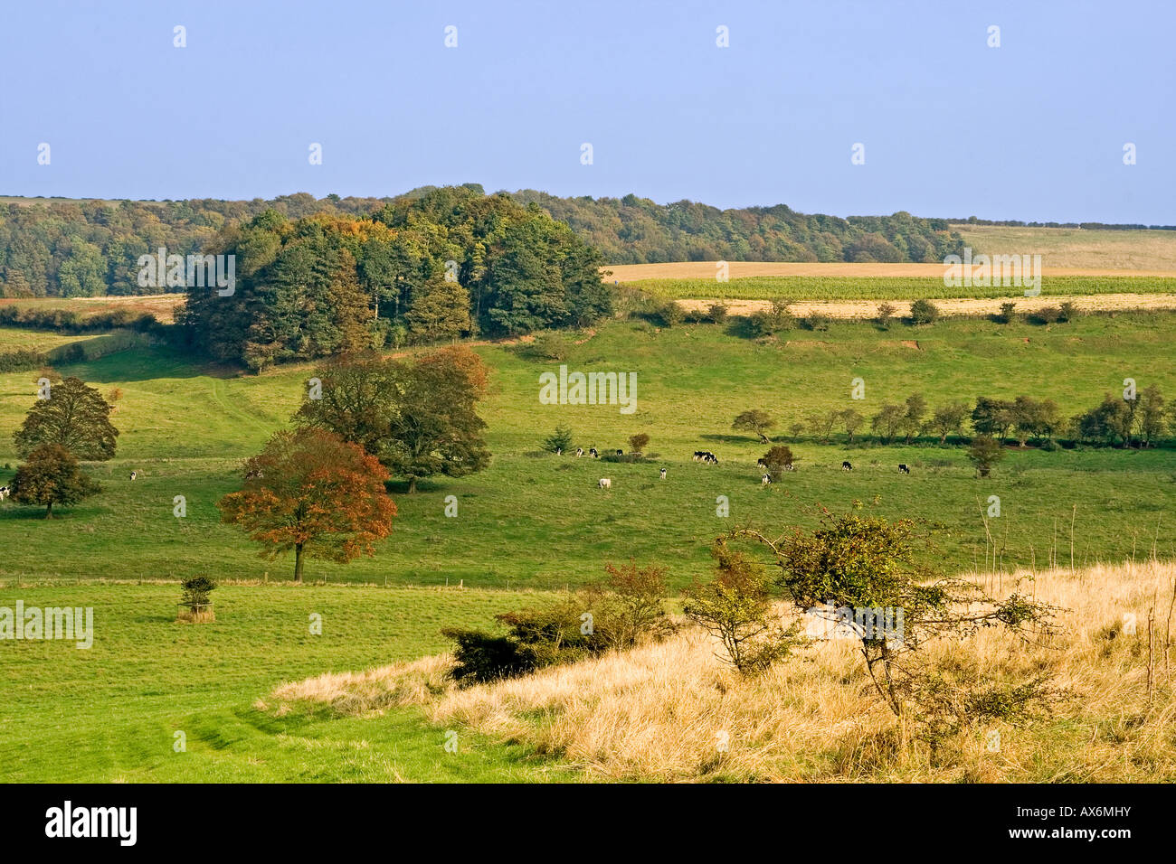 Oxcombe farm hi-res stock photography and images - Alamy
