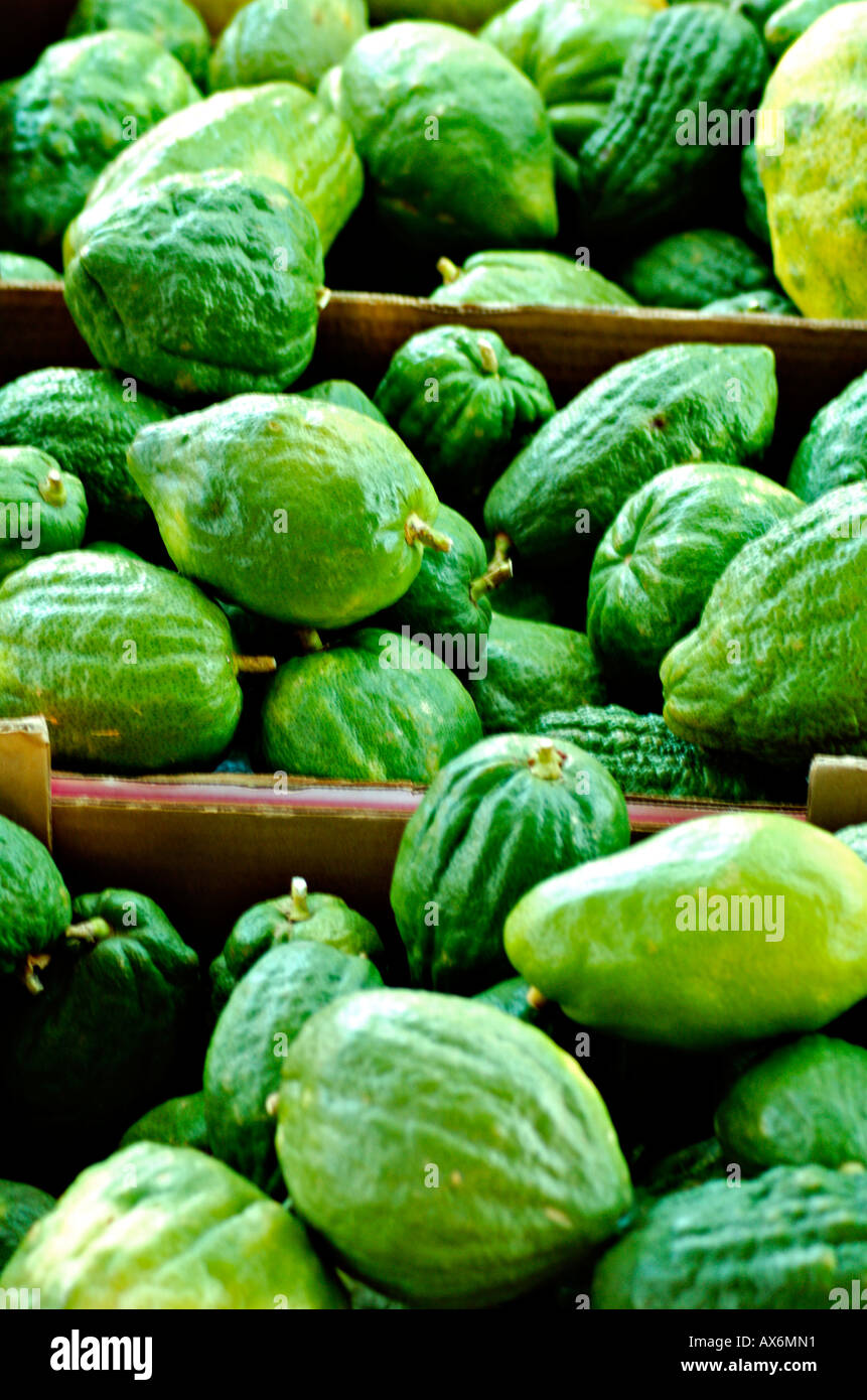 Etrog hi-res stock photography and images - Alamy