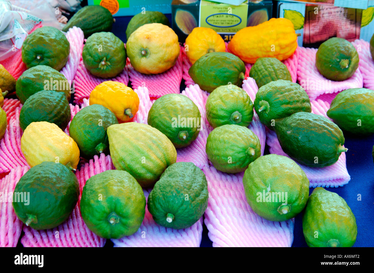 Etrog on display Stock Photo - Alamy