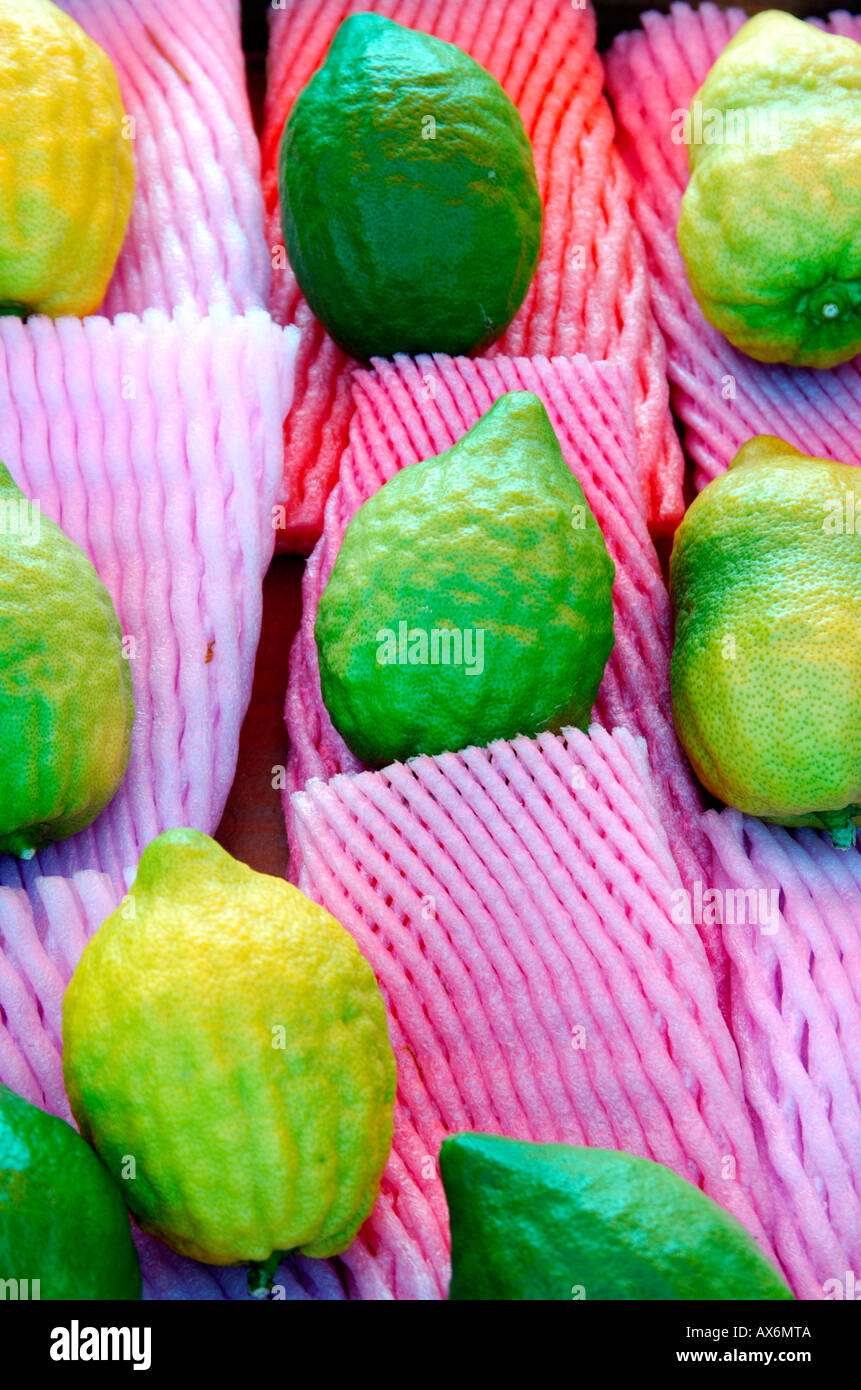 Etrog on display Stock Photo - Alamy