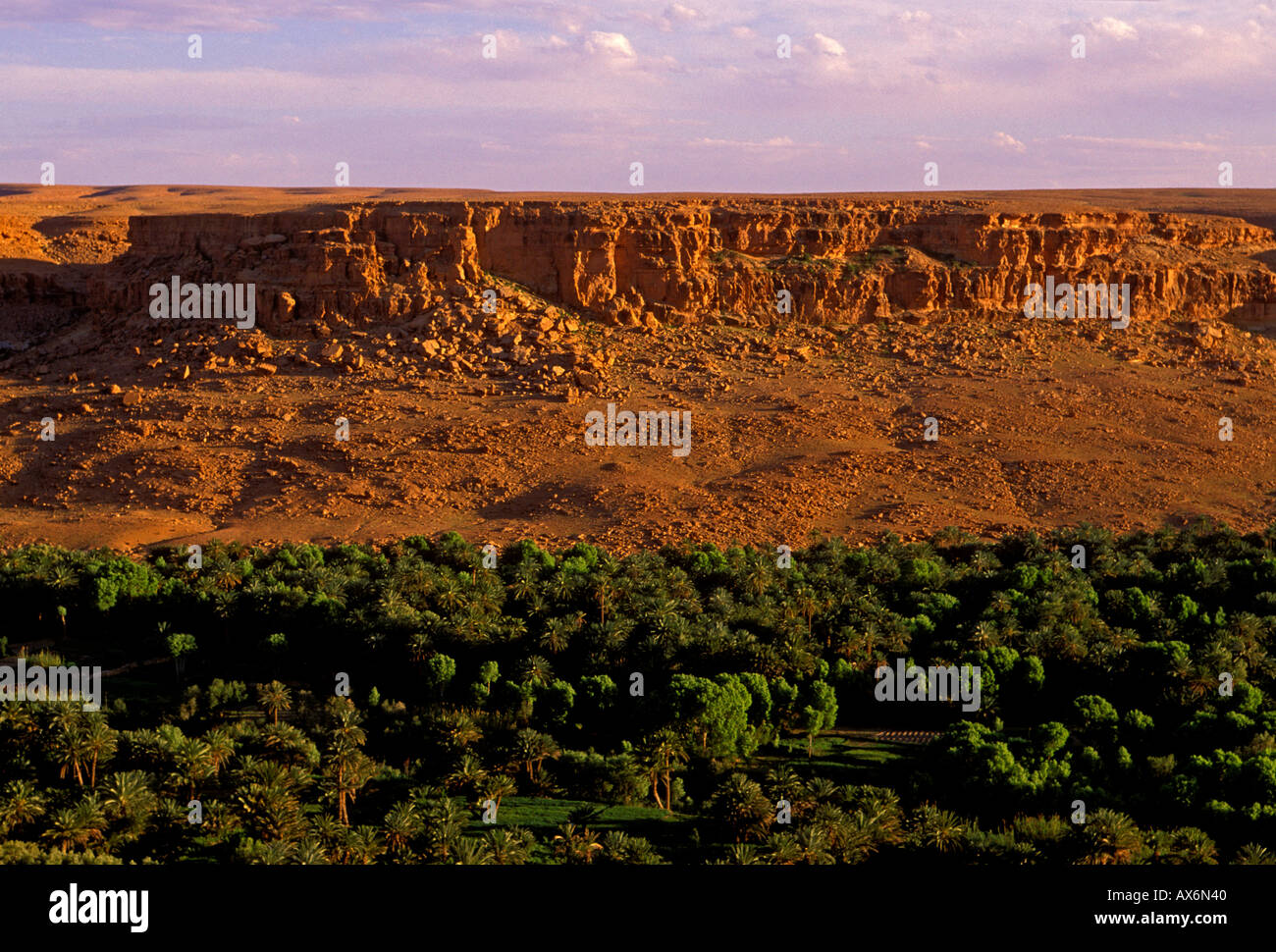oasis at village of Oulad Aissa, Oulad Aissa, between Er-Rachidia and ...