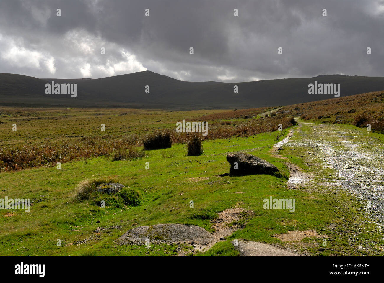 Belstone Common. Dartmoor National Park Stock Photo - Alamy