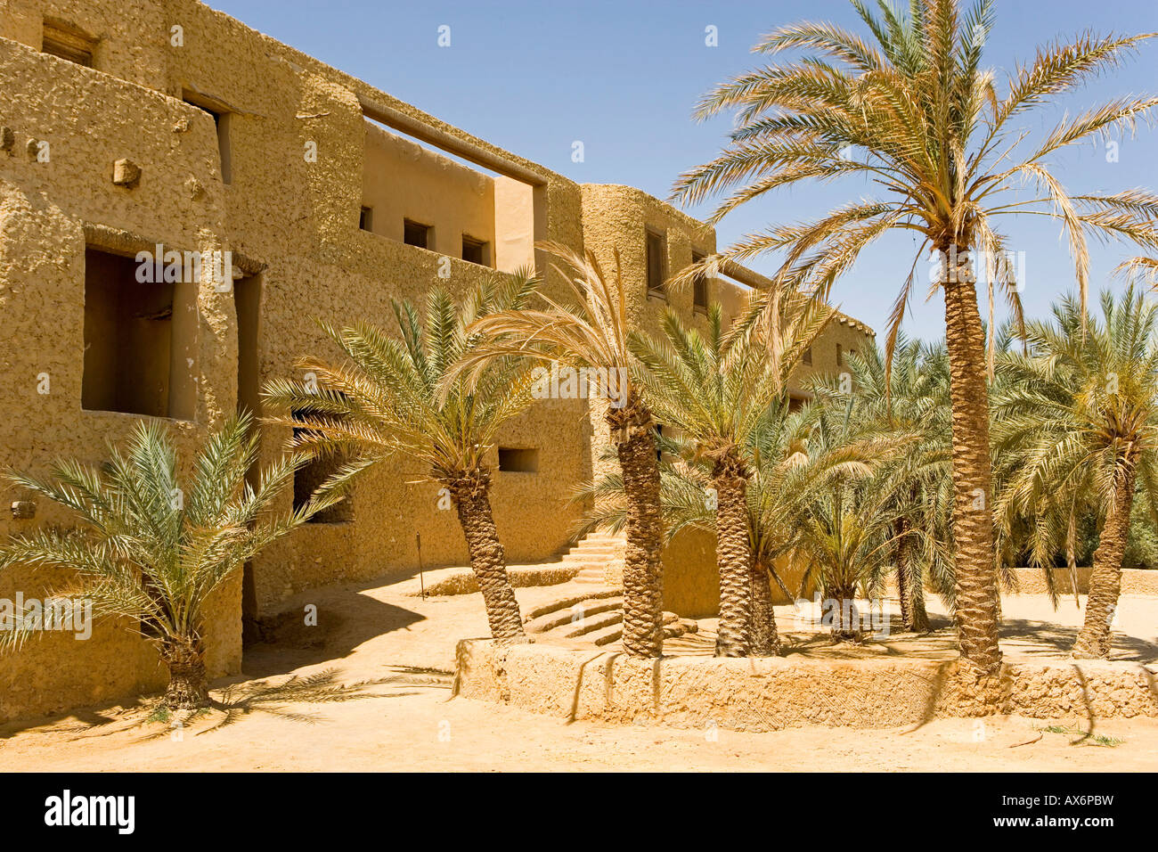Palm trees in front of lodge, Adrere Amellal, Siwa Oasis, Libyan Desert ...
