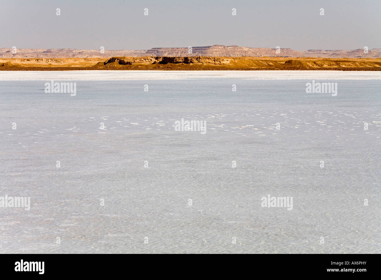 Salt lake in desert, Siwa Oasis, Libyan Desert, Egypt Stock Photo - Alamy