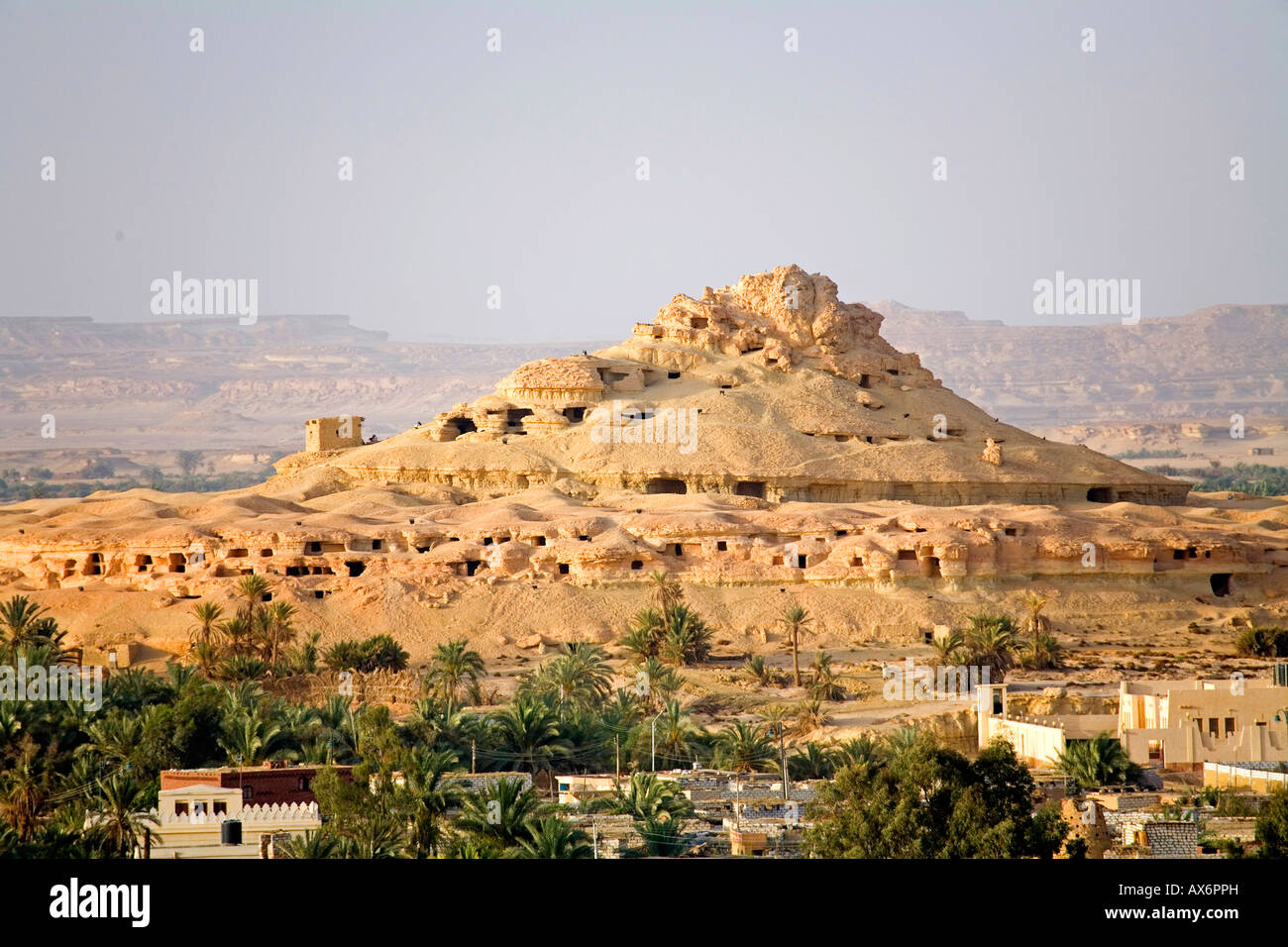 Egypt libyan desert oasis hi-res stock photography and images - Alamy