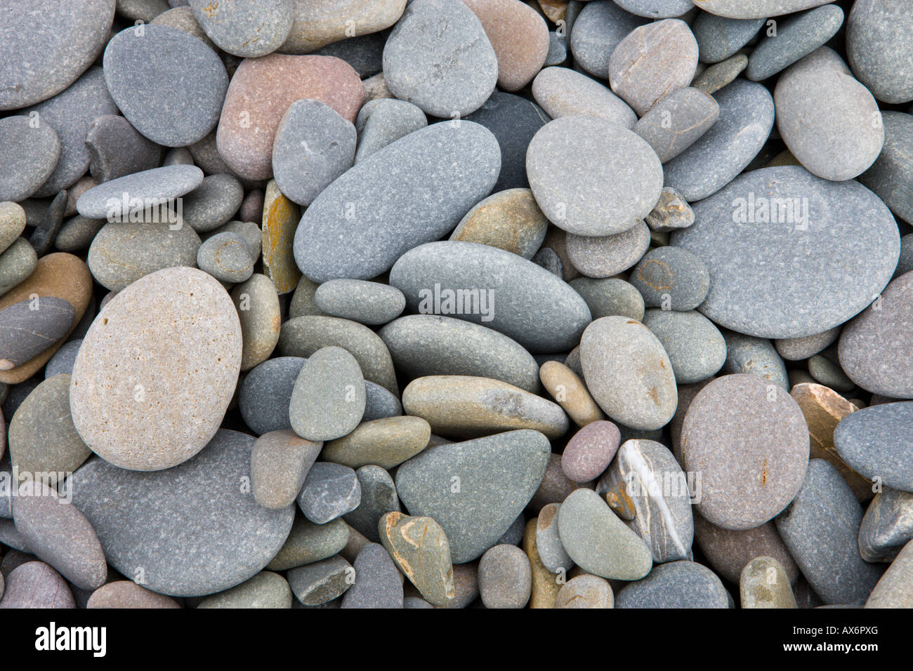 Pebbles on Sandymouth beach, North Cornwall Stock Photo - Alamy