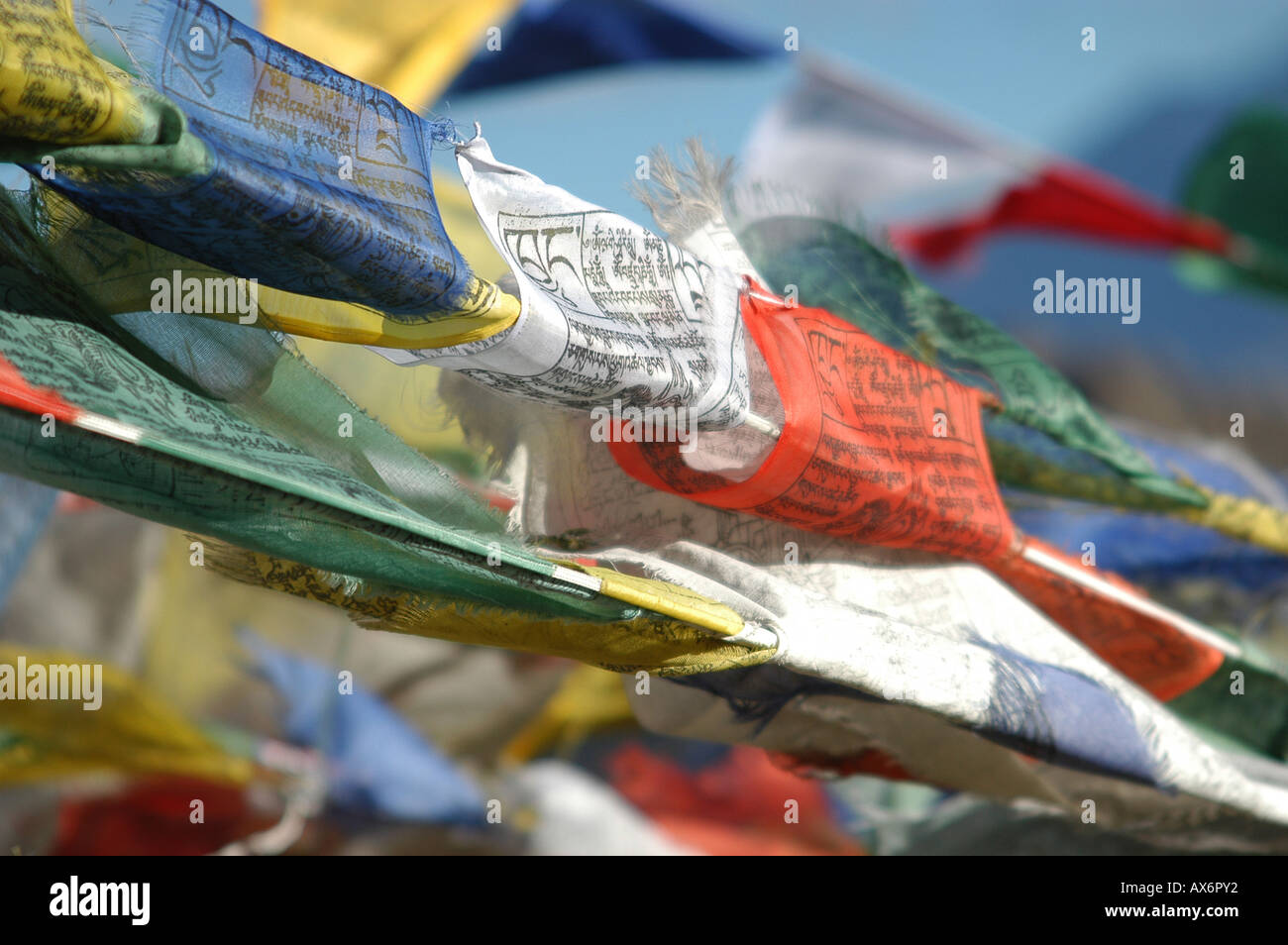 Buddhist prayer flags northern India near Leh in the Himalayan ...