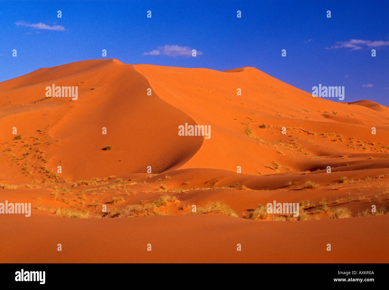 sand dune, sand dunes, Erg Chebbi, Sahara Desert, sunrise, dawn ...