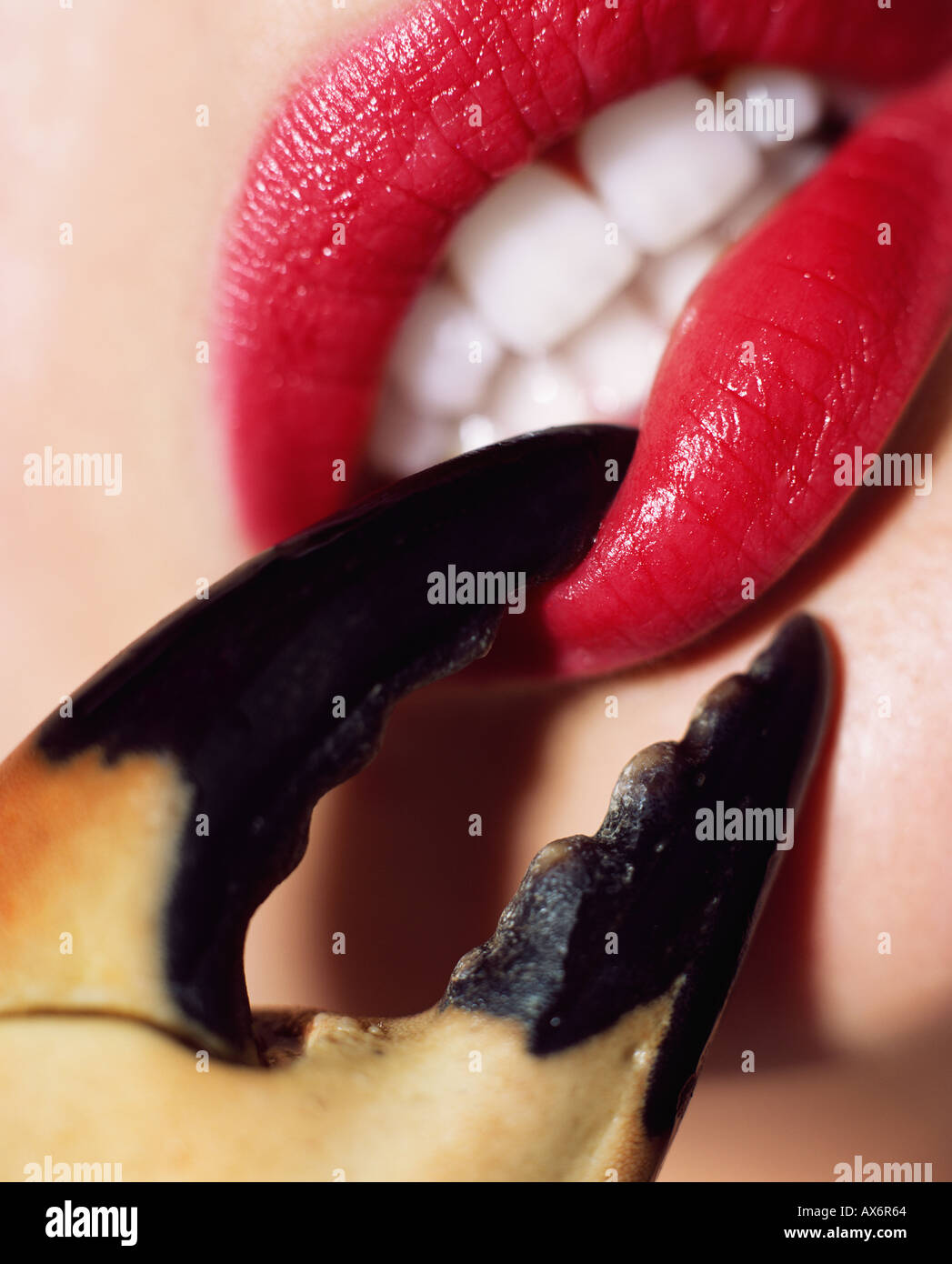Crab pinching woman's lip Stock Photo - Alamy