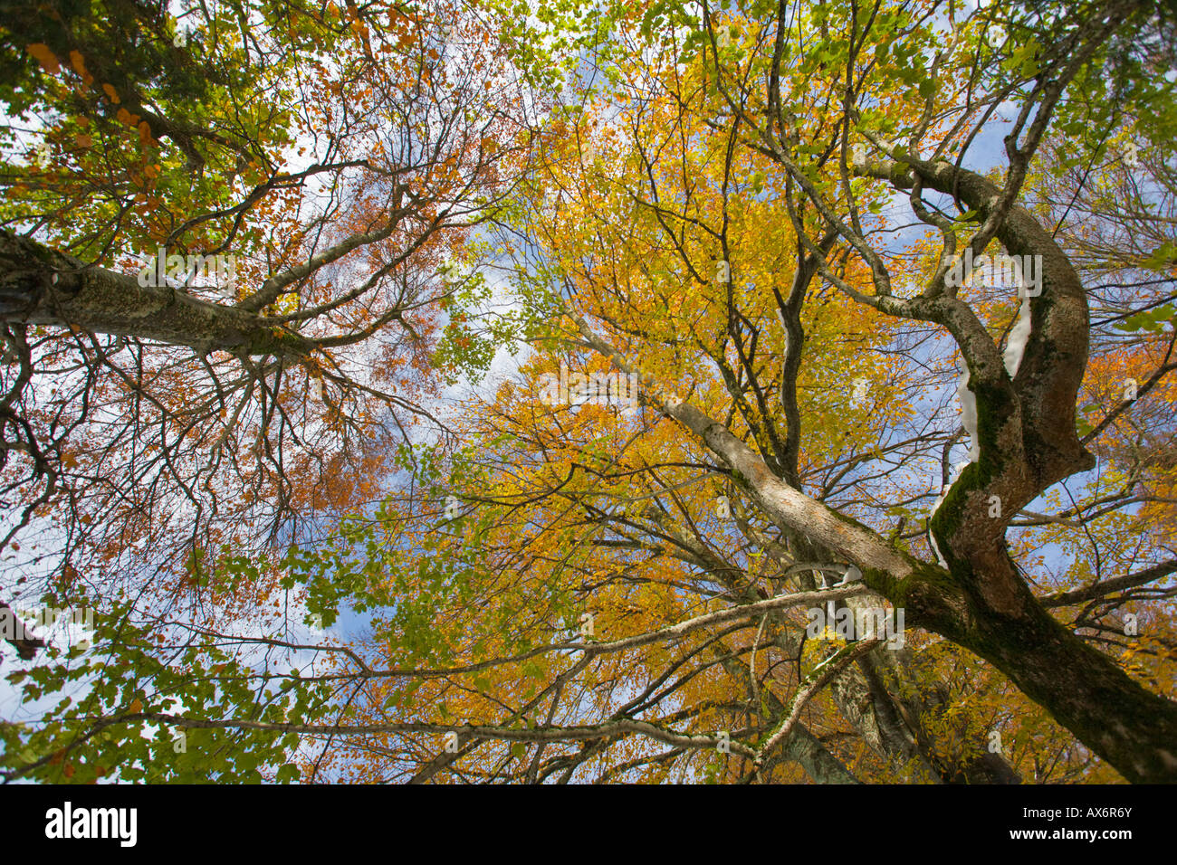 Worm land hi-res stock photography and images - Alamy