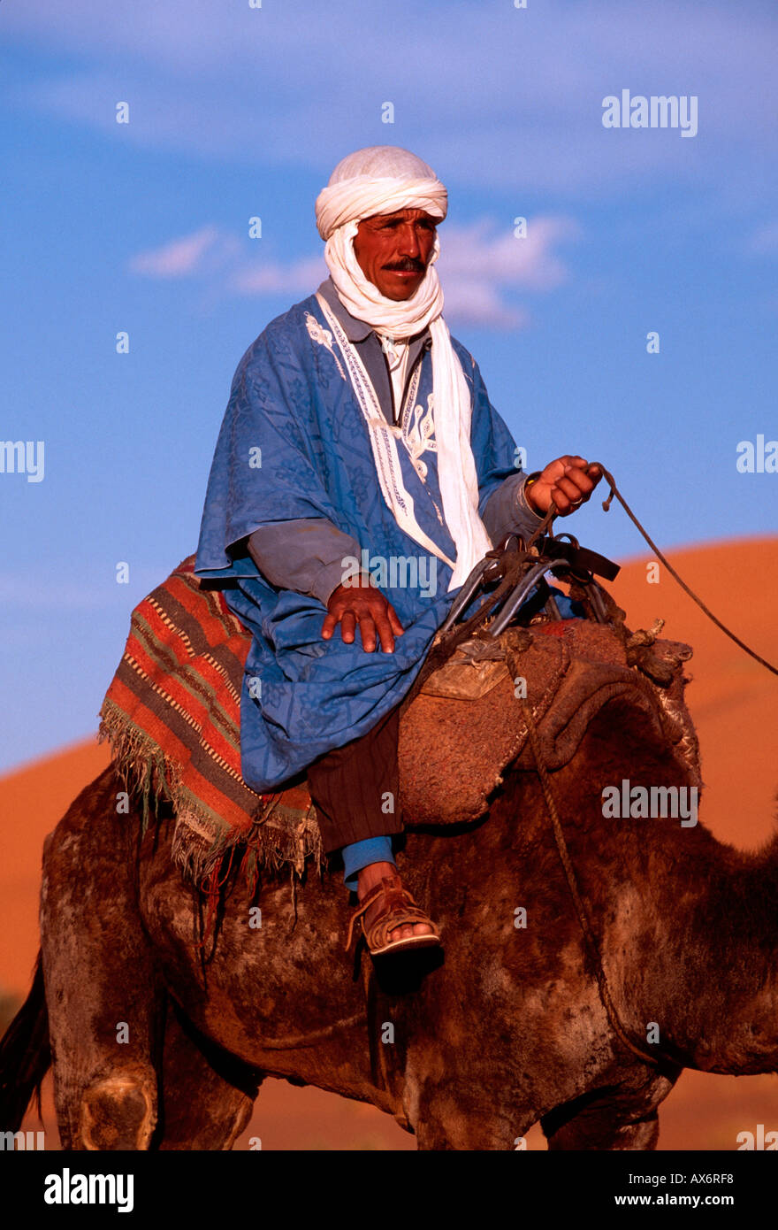Tuareg Riding Camel High Resolution Stock Photography and Images - Alamy