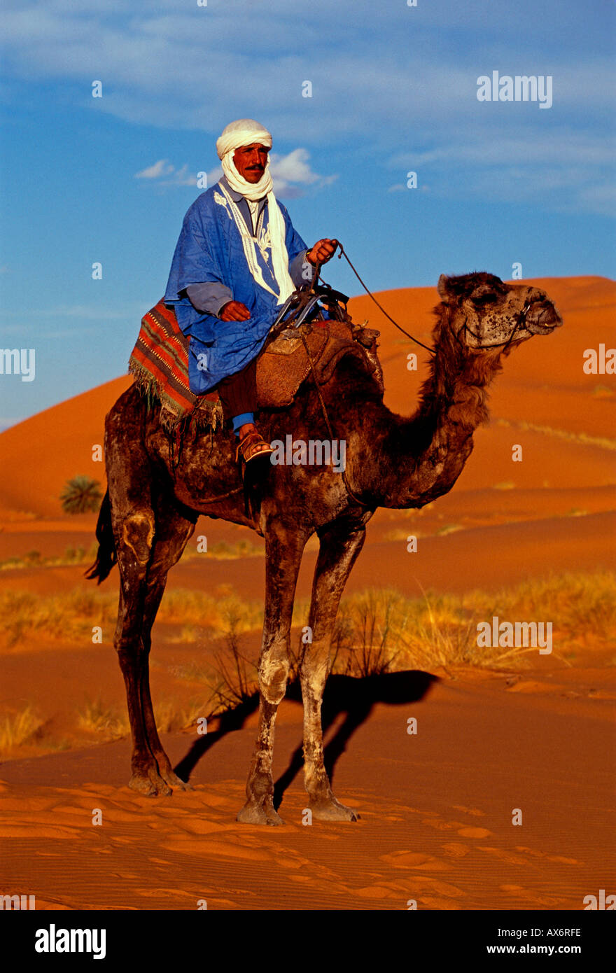 Tuaregs riding camel hi-res stock photography and images - Alamy