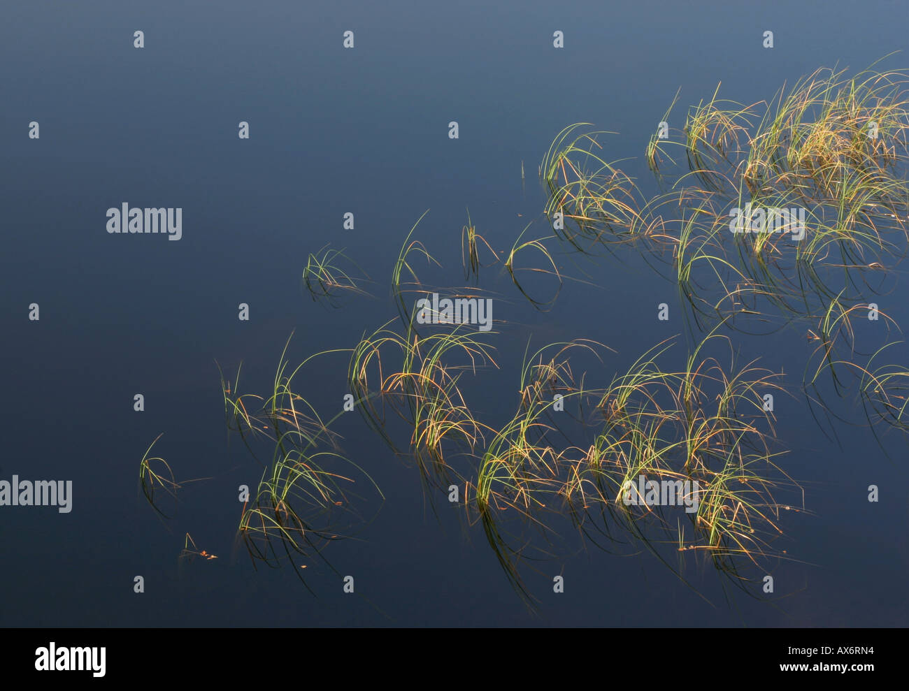 Shallow water scotland hi-res stock photography and images - Alamy