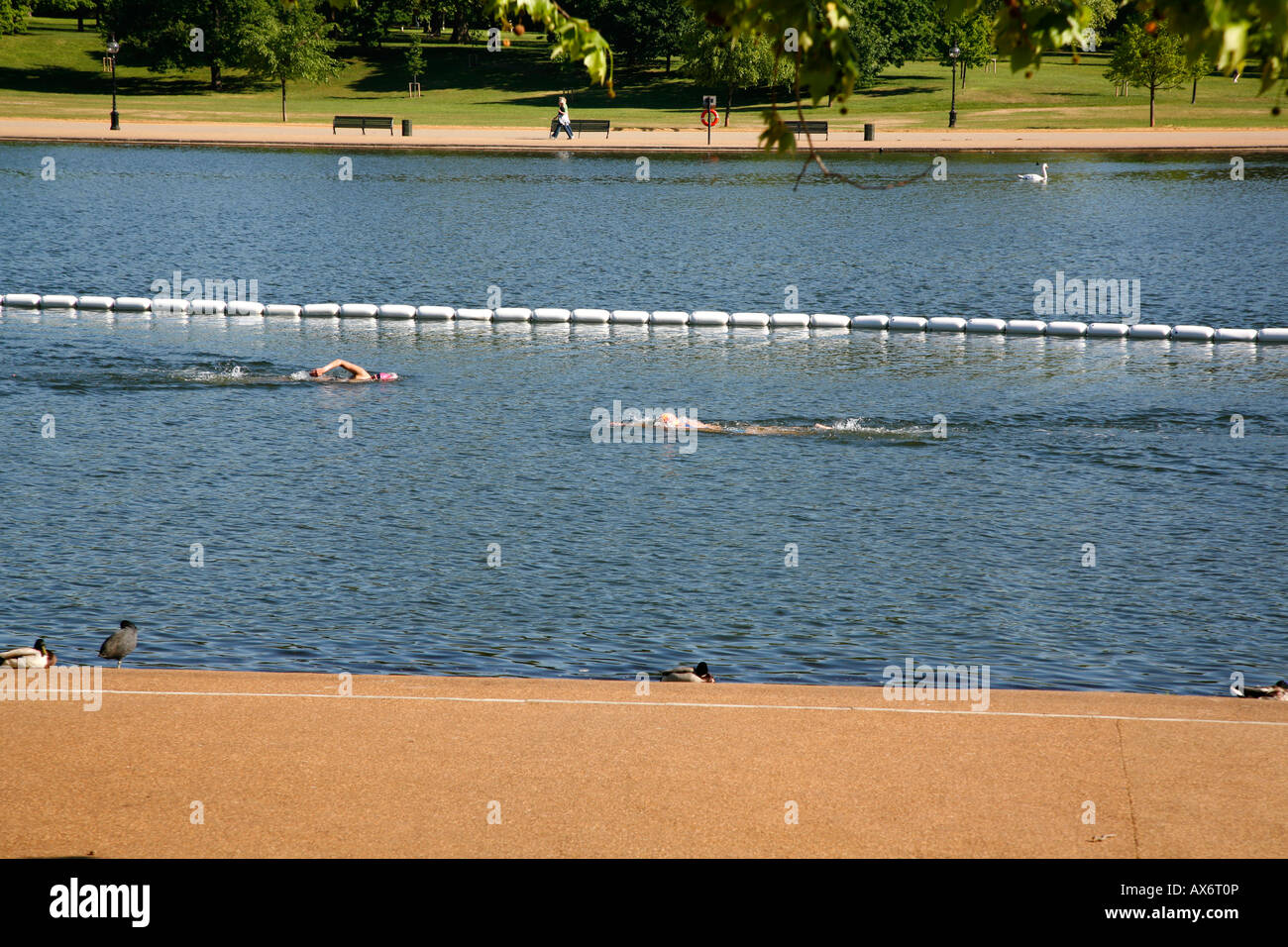 Serpentine Lido in Hyde Park, London Stock Photo - Alamy