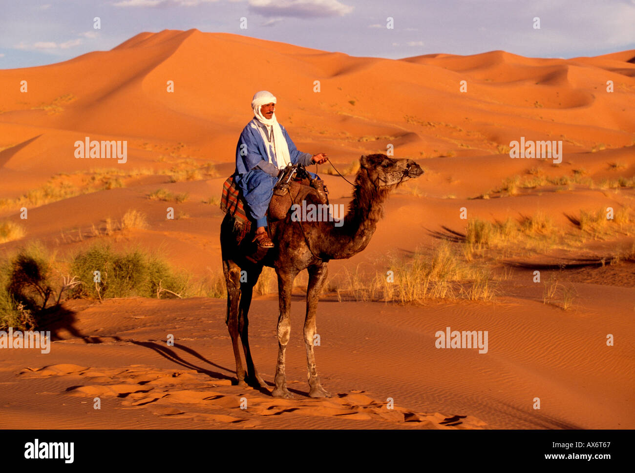 Man riding camel hi-res stock photography and images - Alamy