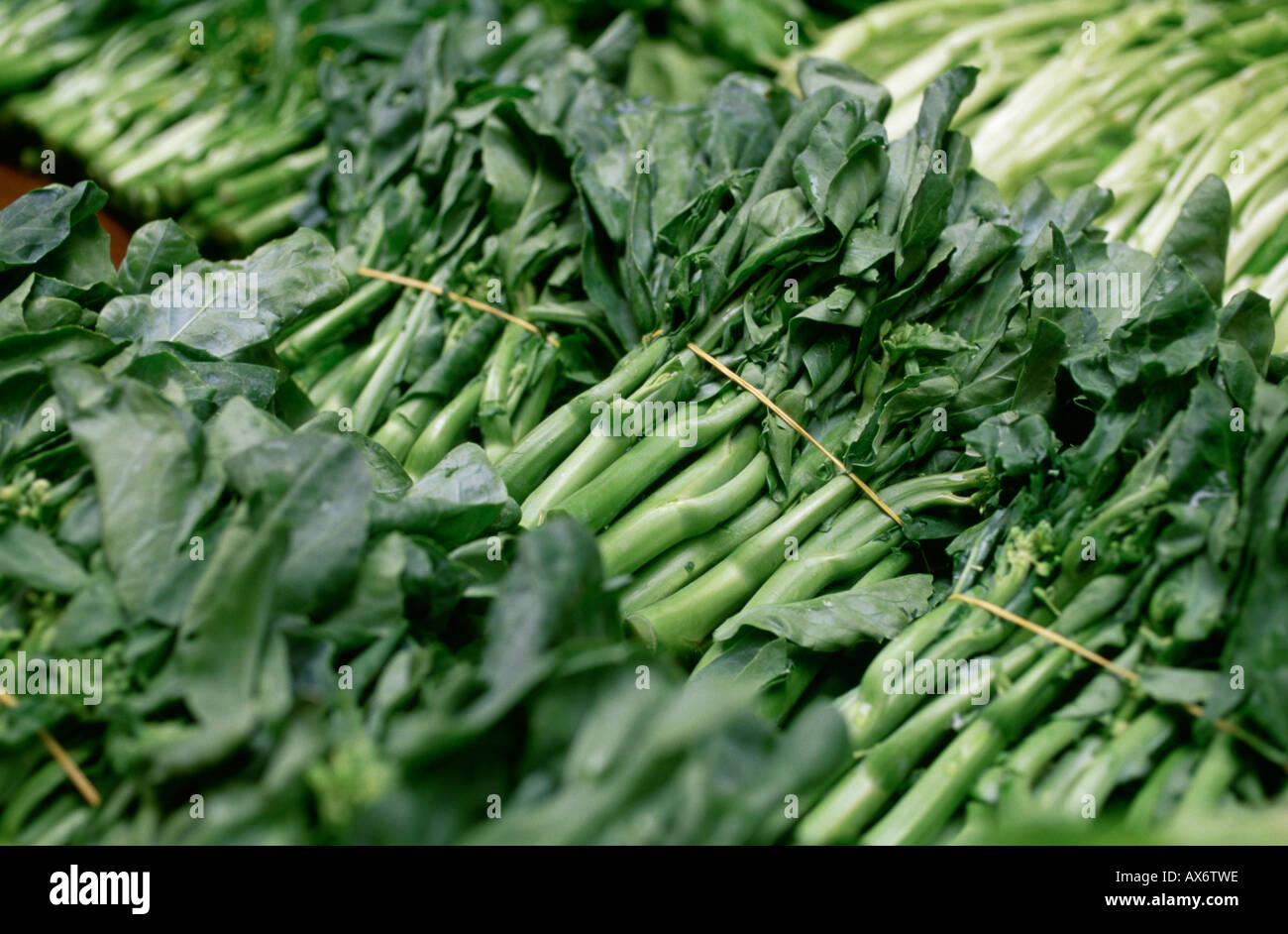 Choi sum hi-res stock photography and images - Alamy