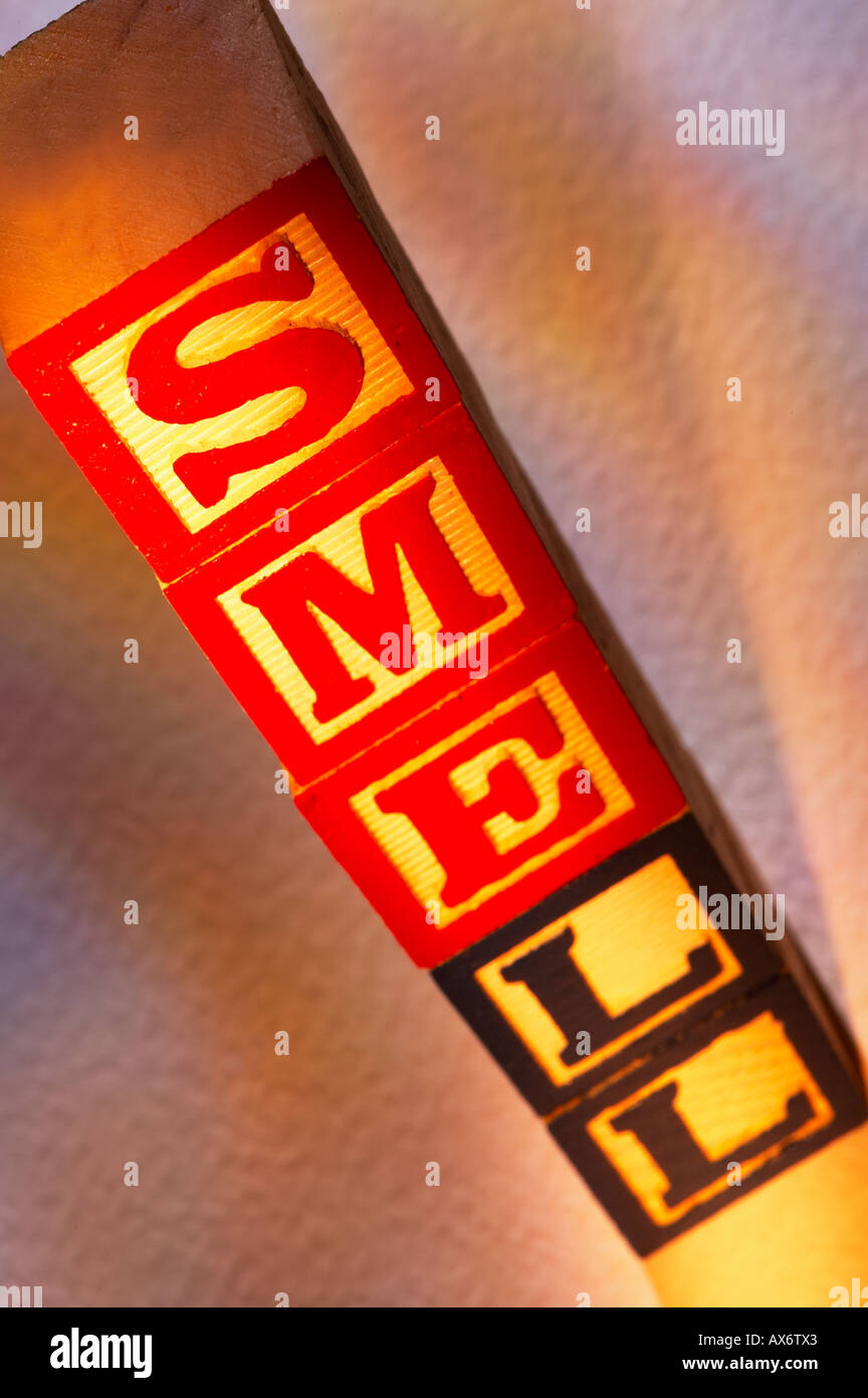STACK OF WOODEN TOY BUILDING BLOCKS SPELLING THE WORD SMELL Stock Photo ...