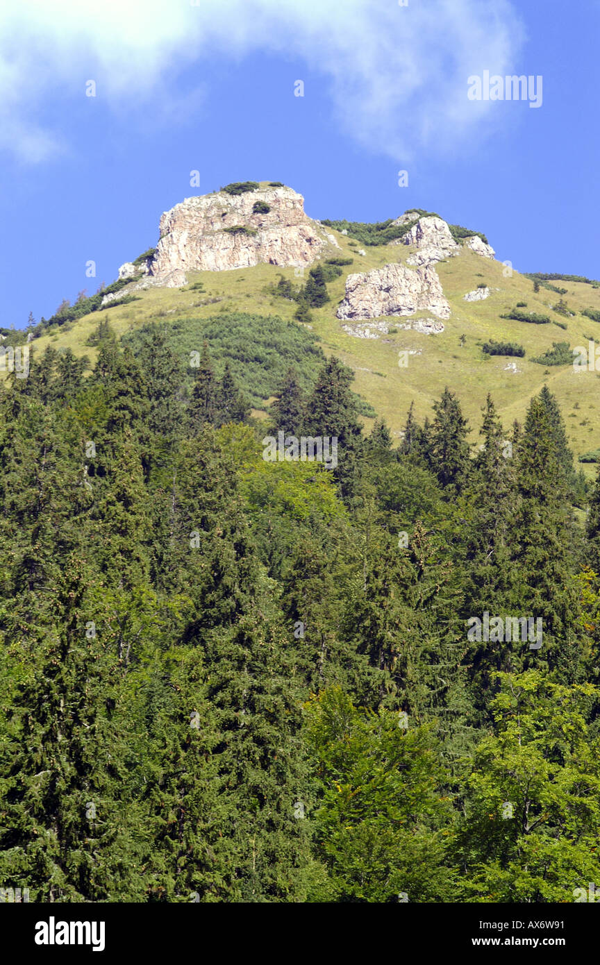 Sharp jagged limestone cliffs, Mount Salatin slope, Nizke Tatry ...
