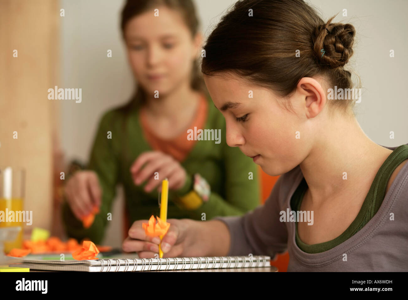 Two friends doing homework Stock Photo - Alamy