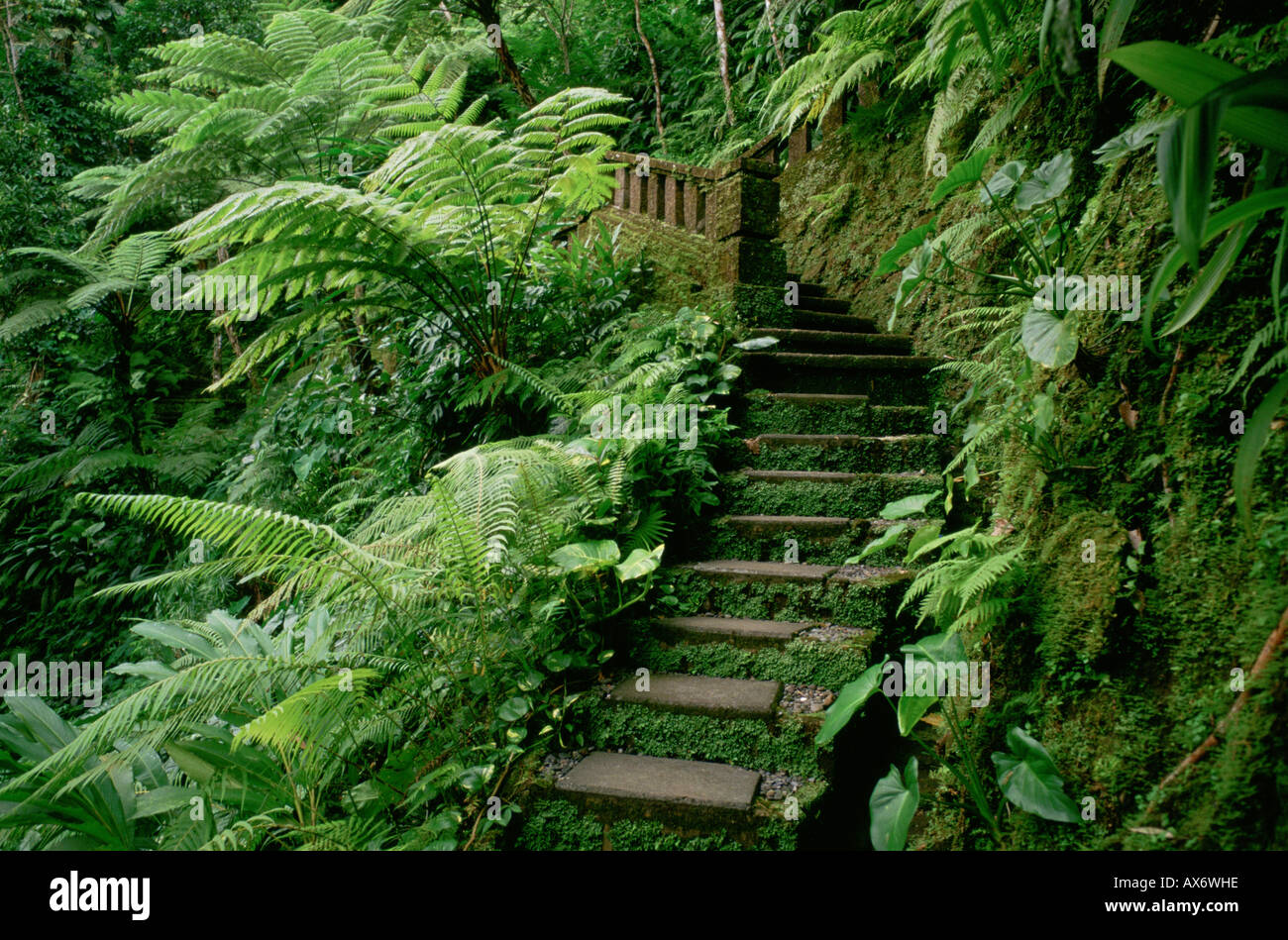 A path leading down a hill at the Begawan Giri resort in Ubud Stock ...