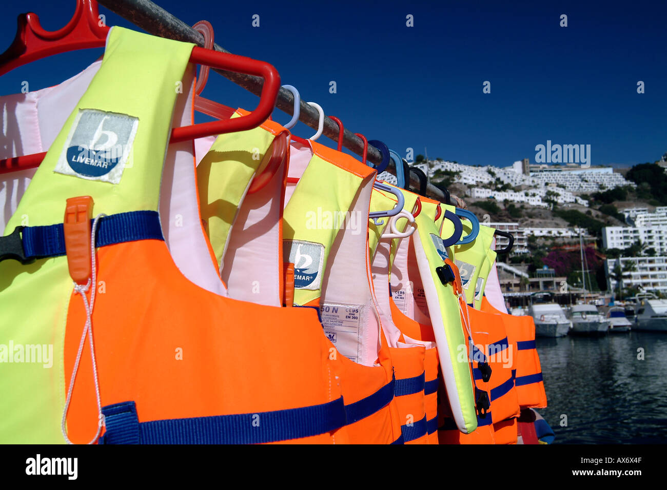 Sailing school palm tree hi-res stock photography and images - Alamy