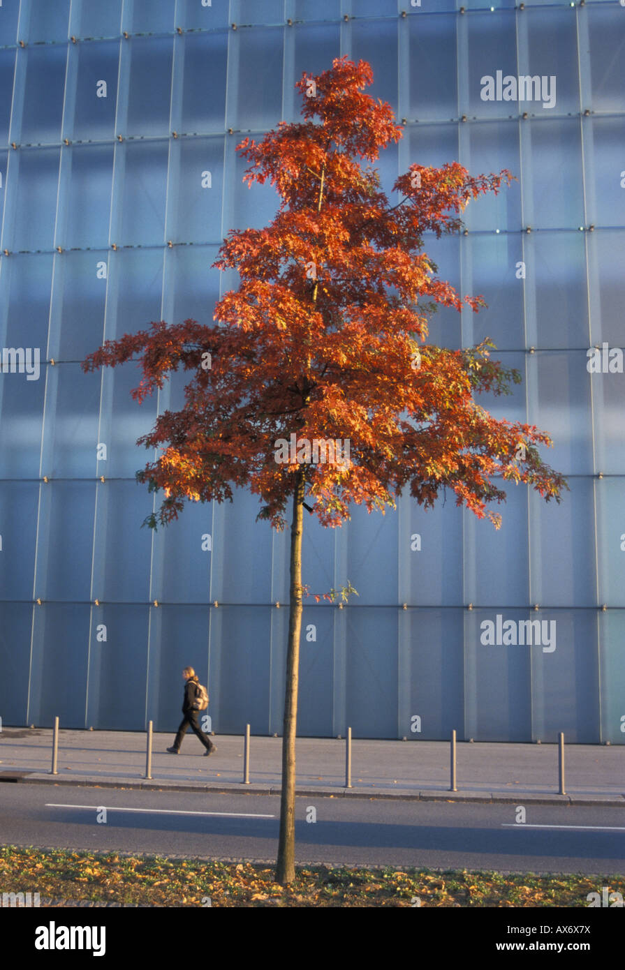 The tree art gallery hi-res stock photography and images - Alamy