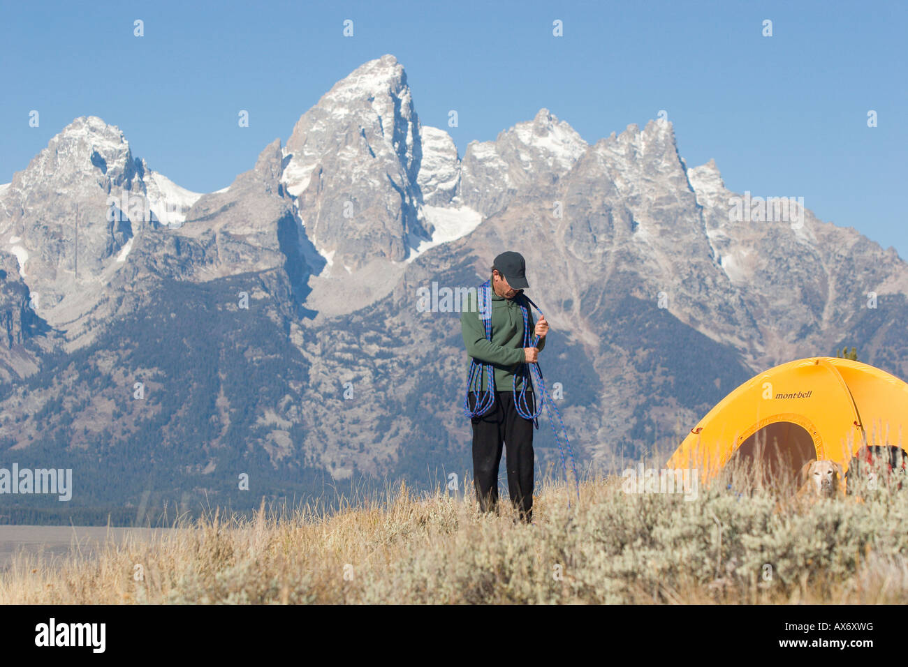 Man coiling rope while camping in Grand Teton National Park CA Stock ...