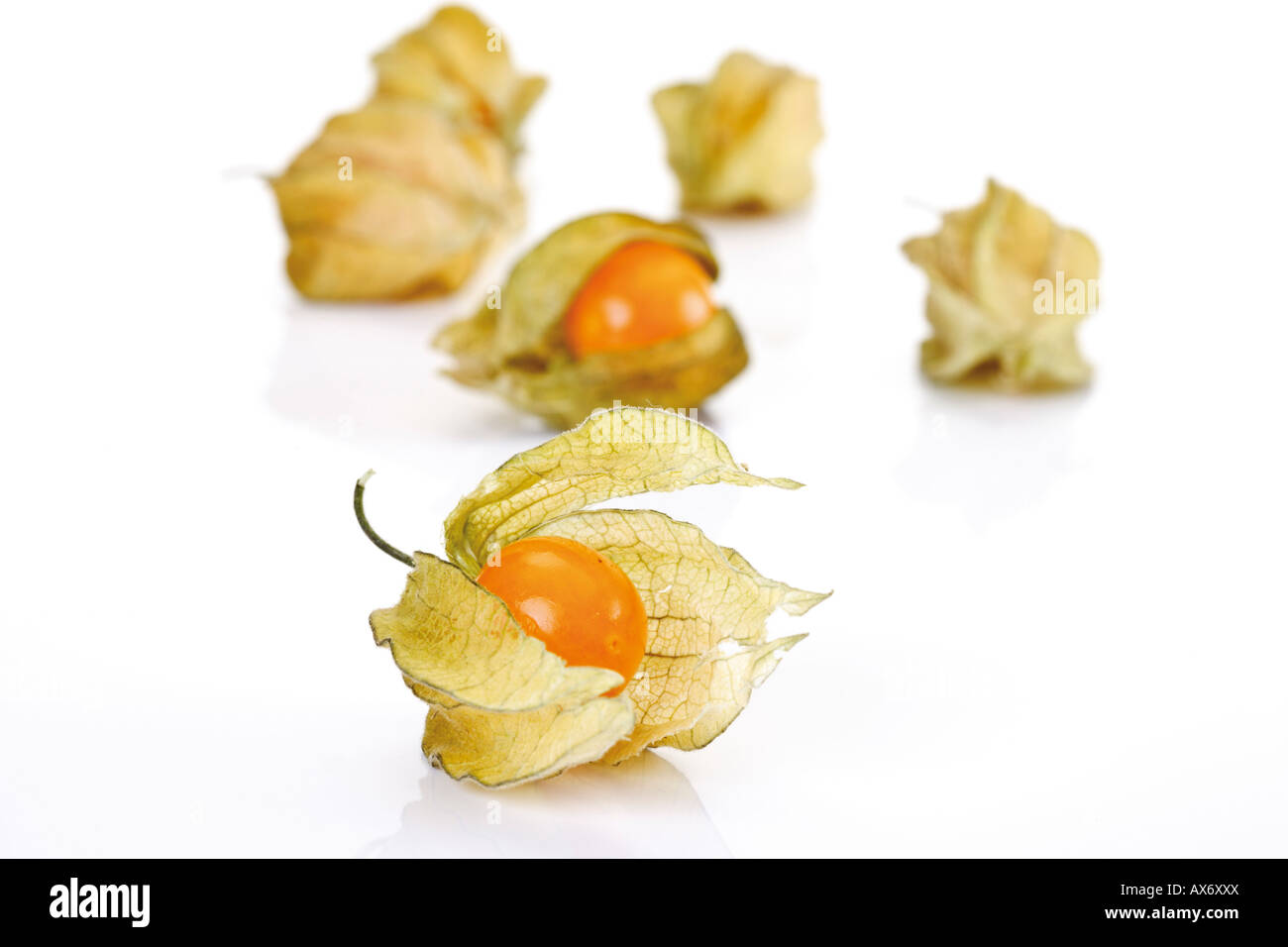 Physalis fruit berry Cut Out Stock Images & Pictures - Alamy