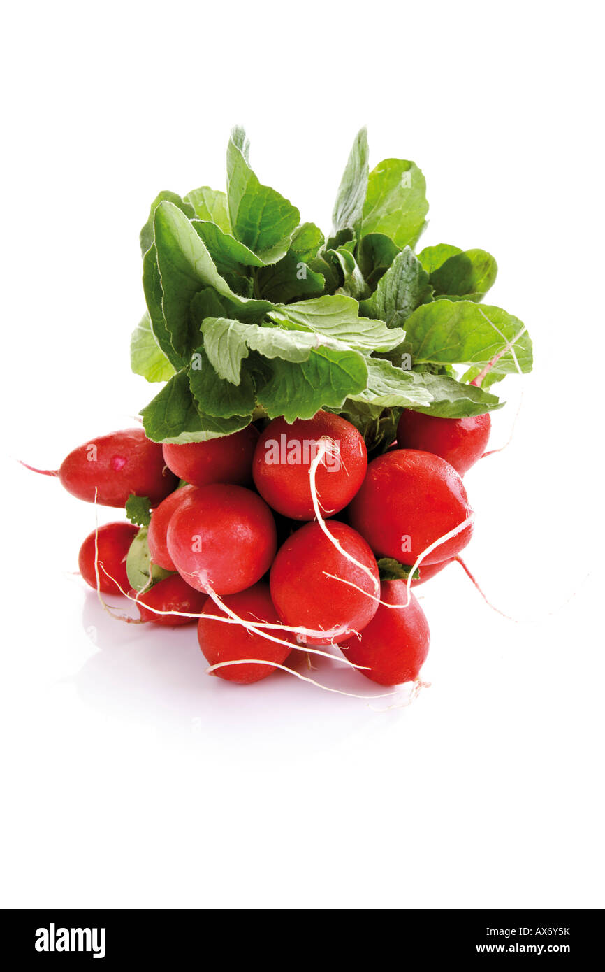 Bunch of red radish (Flamboyant Sabina Stock Photo - Alamy