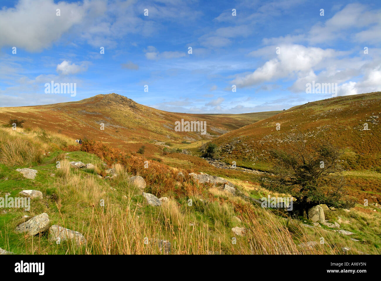 Willsworthy range hi-res stock photography and images - Alamy