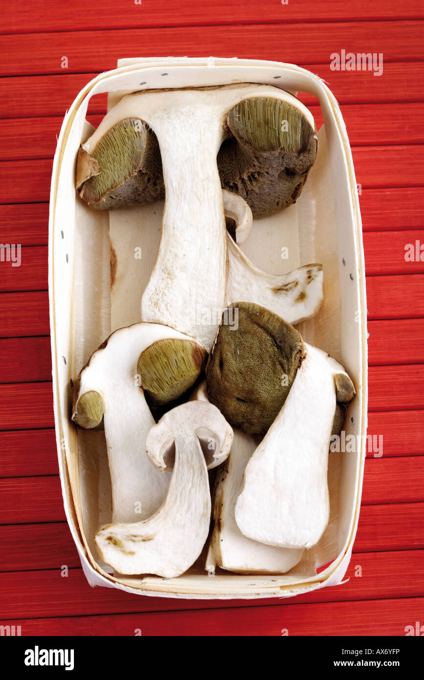 Ceps in bowl, elevated view Stock Photo - Alamy