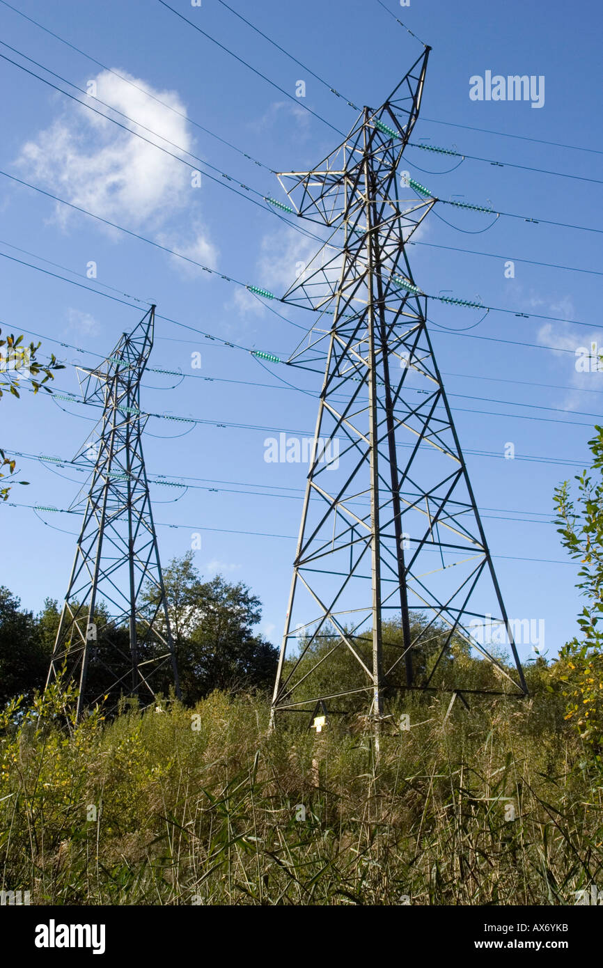 Electricity Pylons, Dorset, UK Stock Photo - Alamy