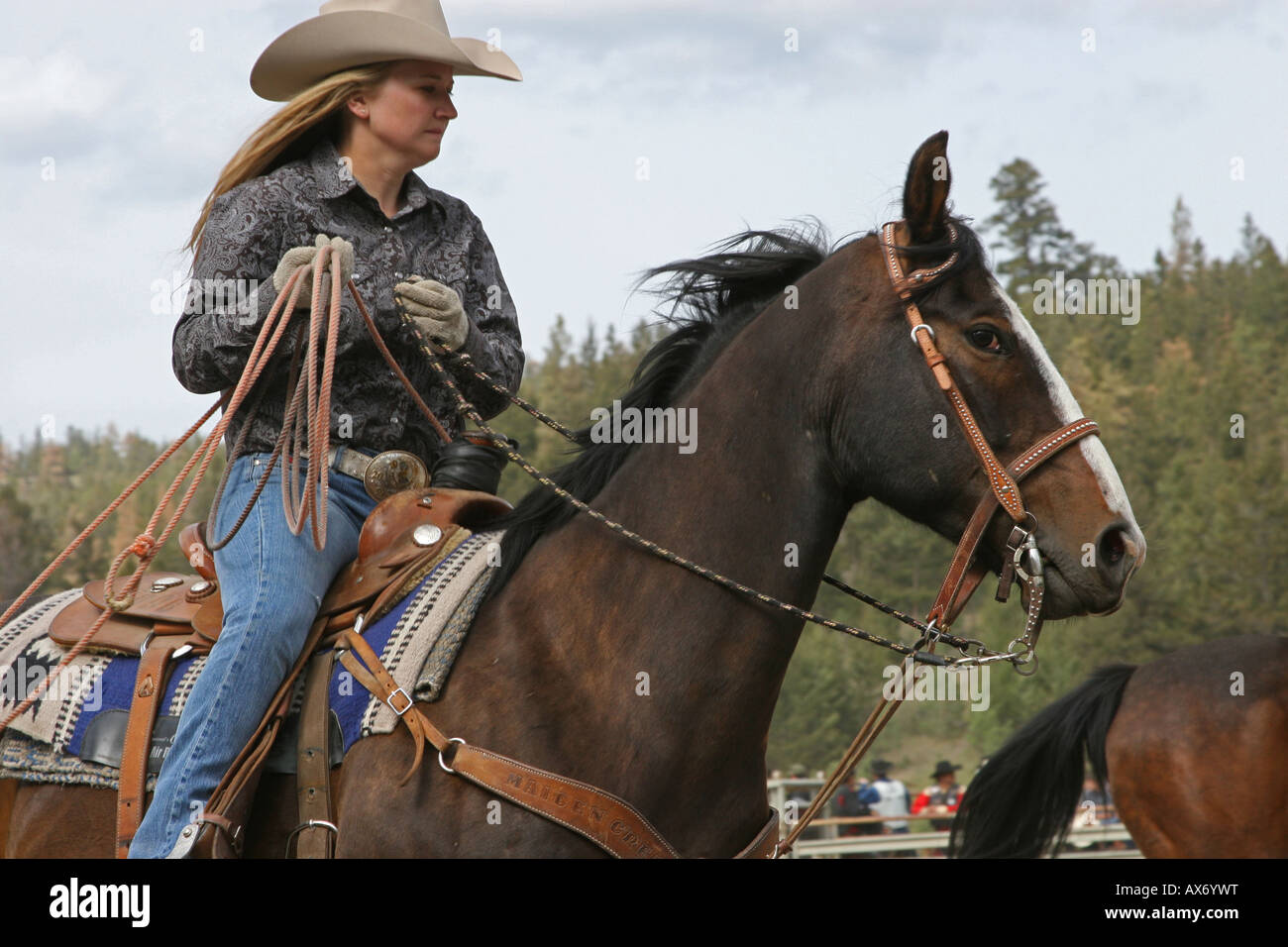 Canadian cowgirl hi-res stock photography and images - Alamy